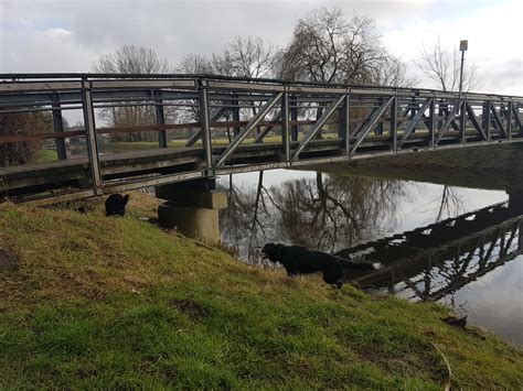 Altmarkonline Forum Altmarkonline