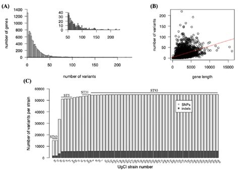 Variants Identified Among All Strains A The Number Of Variants Per