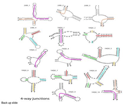 PPT Towards RNA Structure Prediction D Motif Prediction And Knowledge Based Potential