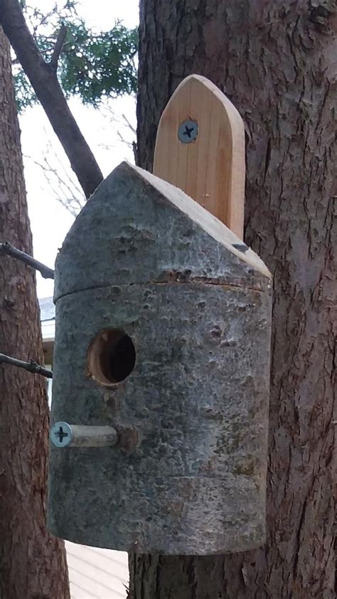 Diy Hummingbird House Diy Tool Shed