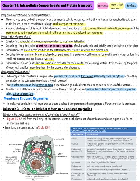 Cell Biology Chapter 15 Intracellular Compartments And Protein