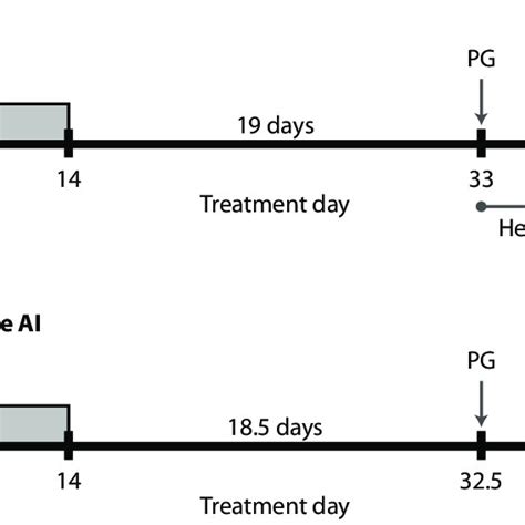 Diagram Of Treatments For Synchronization Of Estrus And Time Of Download Scientific Diagram