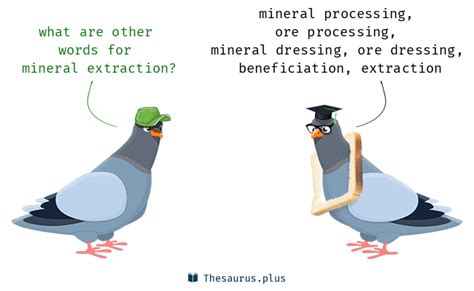 6 Mineral Extraction Synonyms Similar Words For Mineral Extraction