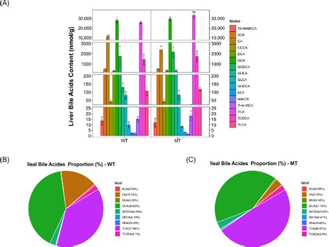 Figure 3 From The Effect Of Mstn Mutation On Bile Acid Metabolism And