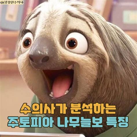 수의사가 분석하는 주토피아 나무늘보 특징 4가지 네이버 블로그