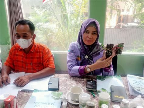 Program Pelatihan Kultur Jaringan Kolaborasi Icon Agry Esha Flora