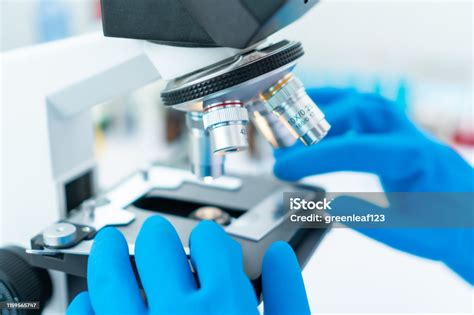 실험실에서 금속 렌즈와 현미경의 클로즈업 샷 Stem 주제에 대한 스톡 사진 및 기타 이미지 Stem 주제 개발 건강