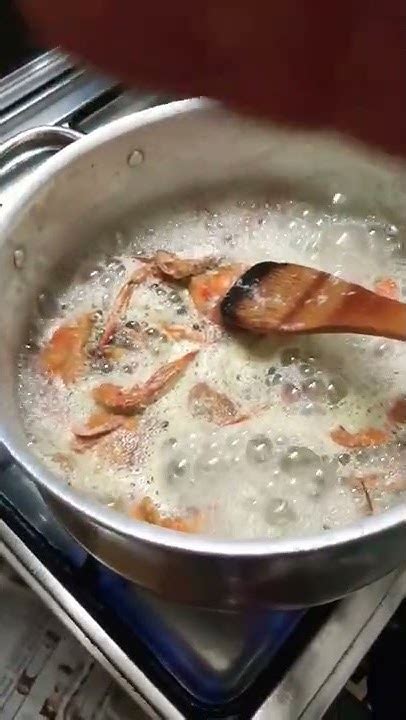 اسرع كابوريا احلي كابوريا Youtube