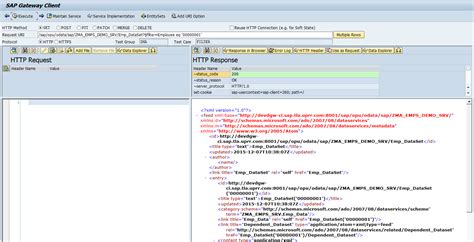 Sap Netweaver Gateway Example For Beginners Sap 4 All
