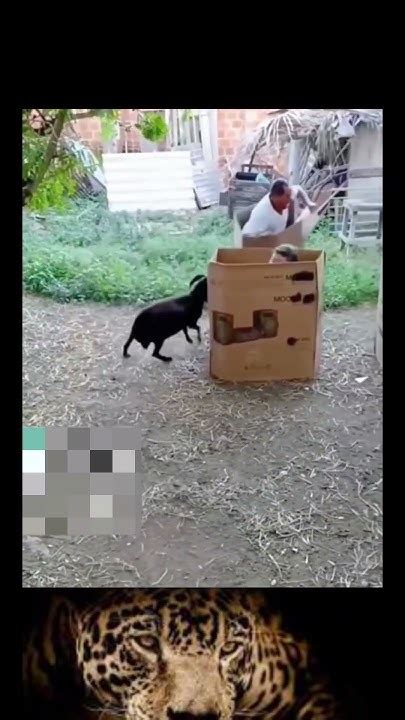 新手の、おやじ狩り！？ Youtube