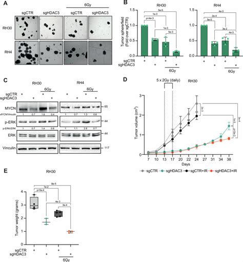 Hdac3 Genetic And Pharmacologic Inhibition Radiosensitizes Fusion