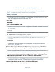 Module 04 Course Project Assignment Template Docx Module 04 Course