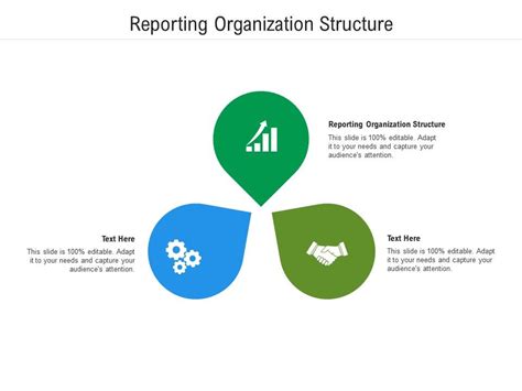 Reporting Organization Structure Ppt Powerpoint Presentation Pictures Graphic Images Cpb