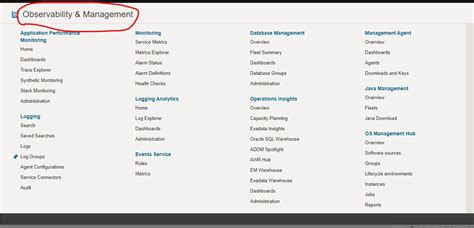 Policies For Oracle Observability And Management Platform Oracle Forums