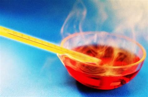 Here Is A Collection Of Exothermic Reaction Examples To Use As