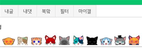 해연갤 ㅃ 헐 붕키 드디어 10냥이 됐어