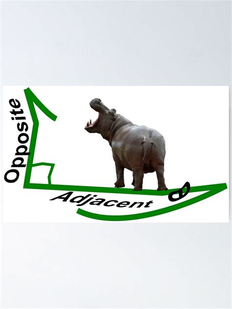 Hippopotamus Broke The Hypotenuse Poster For Sale By Georgyd Redbubble