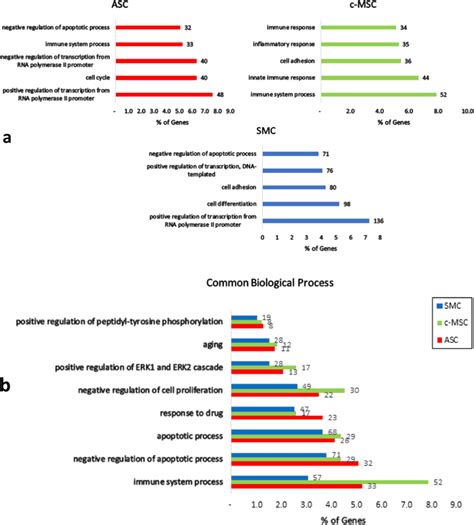 Gene Ontology Of The Degs A The Top 5 Biological Processes For Asc
