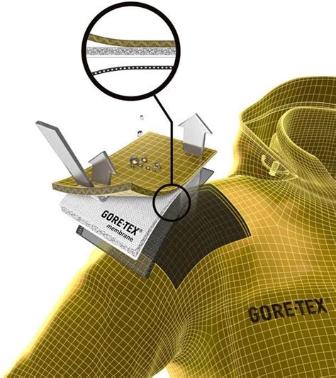 Мембранная ткань Gore-Tex и её характеристики - Особенности мембраны ...