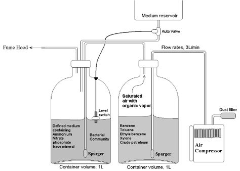 Schematic Structure Of Bioreactor For The Enrichment Of A Bacterial Download Scientific Diagram