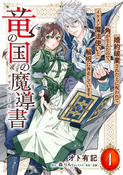 Ryuu No Kuni No Madousho Manga Anime Planet