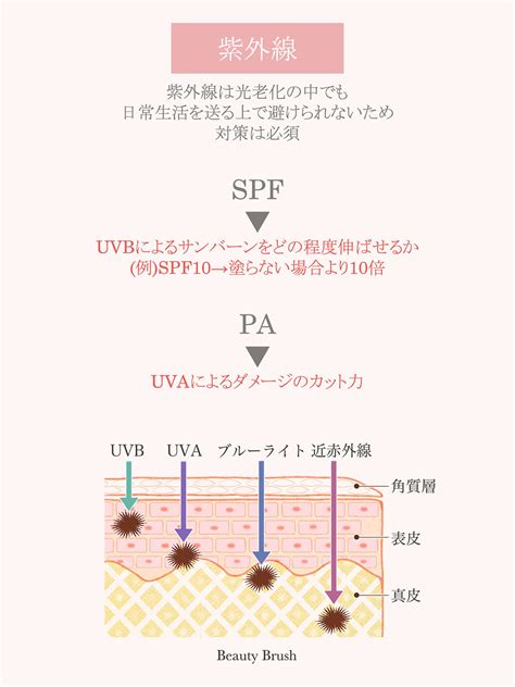 3紫外線・ブルーライト Beautybrush｜tamaki Tsuneoka