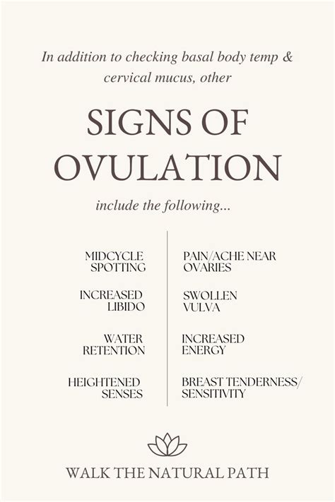 Signs Of Ovulation Womens Health Tips