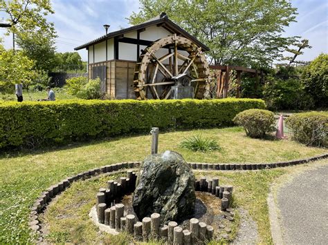 名水の里秦野の湧水を追う後編 パックテストの共立理化学研究所