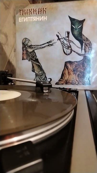 пикник Египтянин Vinyl Youtube
