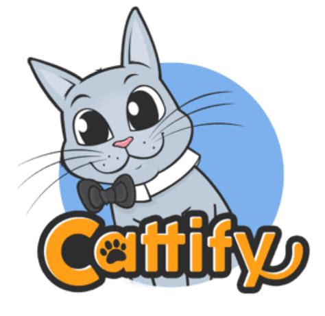 How To Pick Up A Cat Proper Techniques For Safe And Comfortable