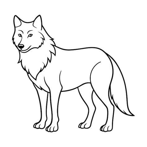 Illustration Artistique Du Contour Vectoriel Du Loup Vecteur Premium