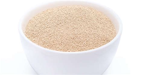 1154 Easy Instant Yeast Recipes