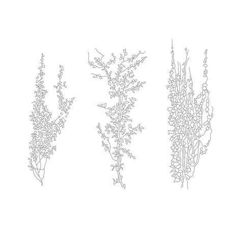 Ivy And Climbing Plants Dwg Cad Blocks In Elevation 20 Pieces