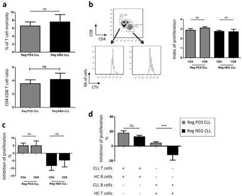 Cll T Cell Proliferative Response Is Effective T And B Cells Were