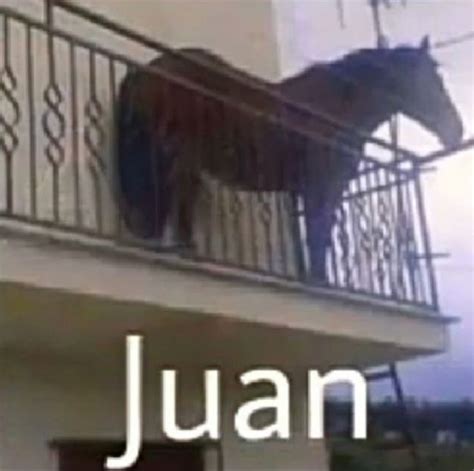 Juan Stupid Memes Funny Memes Reaction Pictures