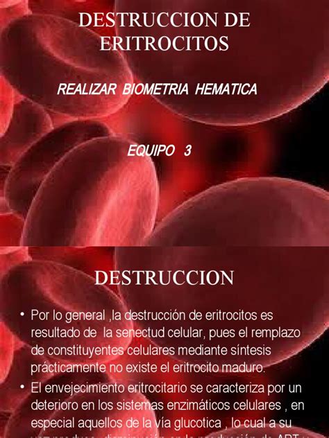 Destruccion De Eritrocitos Pdf Glóbulo Rojo Anemia