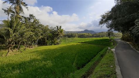 Tinitah Alam Tempat Healing Hits Di Bukit Menoreh