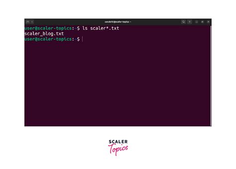What Is A Glob In Linux Scaler Topics