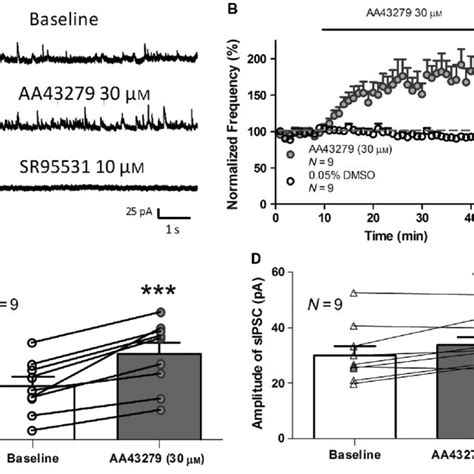 Spontaneous Inhibitory Post Synaptic Current Sipsc Frequency And