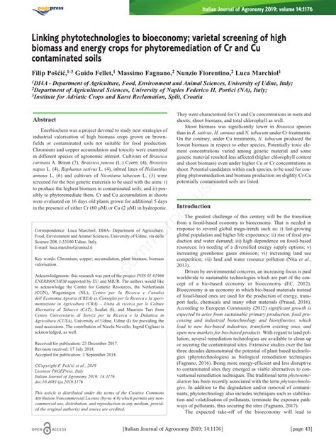Pdf Linking Phytotechnologies To Bioeconomy Varietal Screening Of High Biomass And Energy