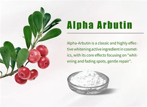 Does Alpha Arbutin Lighten Skin Unveiling The Science Of Safe
