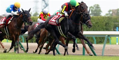 【ローズステークス2022予想】本命馬5選と穴馬5選・コース解説（秋華賞トライアル）3連単 ｜ 3連単6点勝負！競馬で夢を叶える！3連単競馬