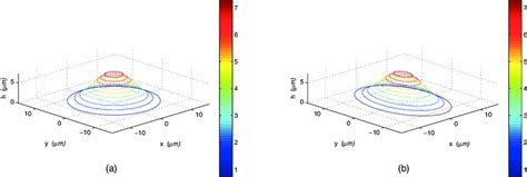 Cell Model With Two Different Parameterizations Shown In Z Stack Download Scientific Diagram