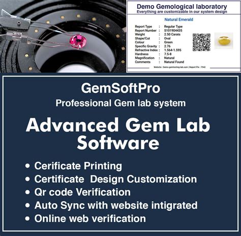 Best Gemological Lab Software INDIA