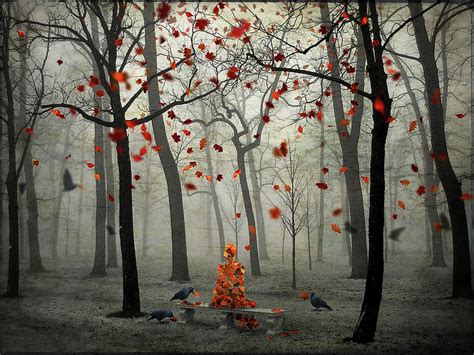 The Naked Forest By Photo By Jonas Adner