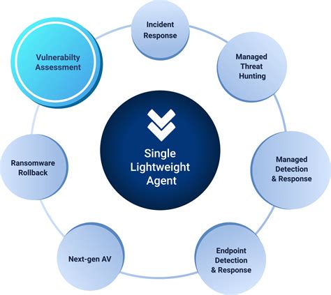 Vulnerability Assessment Tools Threatdown By Malwarebytes