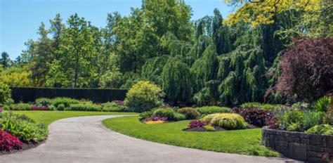 Basic Tricks To Shape The Landscape Into A Classy View