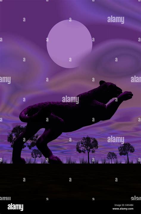 Panther jumping by night Stock Photo - Alamy
