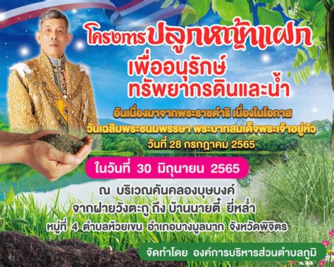 โครงการปลูกหญ้าแฝกเพื่ออนุรักษ์ทรัพยากรดินและน้ำ