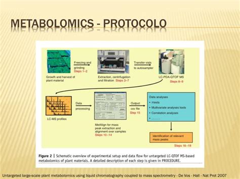 Ppt Metabolomics Powerpoint Presentation Id4126928